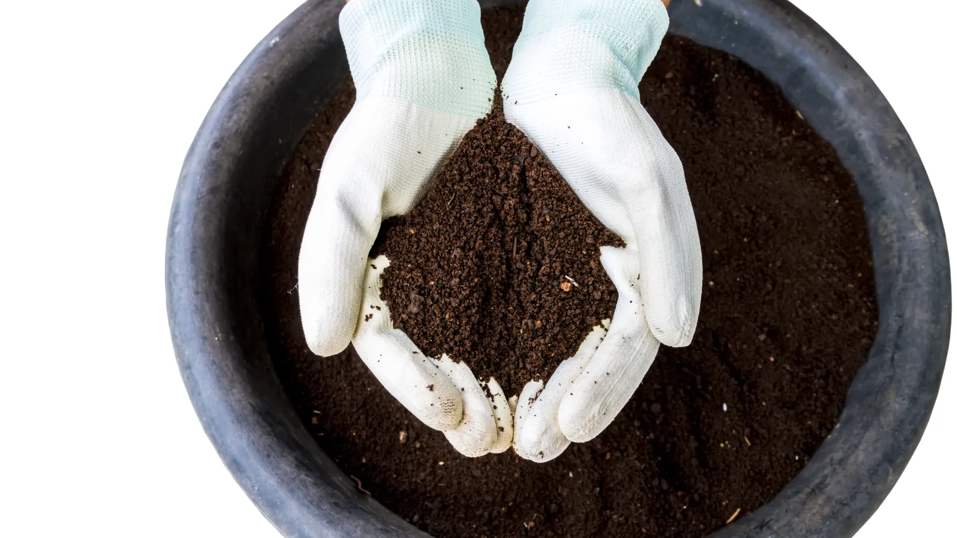 Como Adubar Corretamente: 10 Dicas Indispensáveis