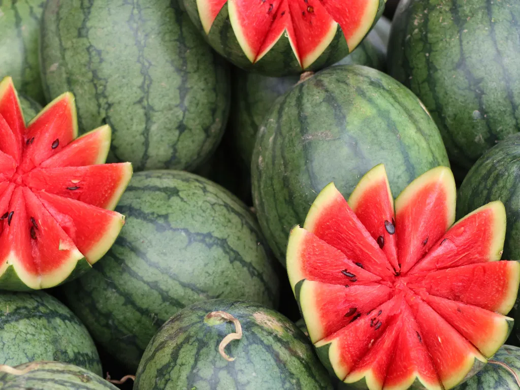 Guia De Cultivo: Árvore De Melancia E Seus Benefícios - Jardim Dos ...